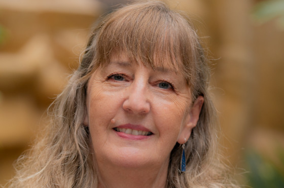 CJC PR Program Receives High Ranking for Best Value - UF College of ...