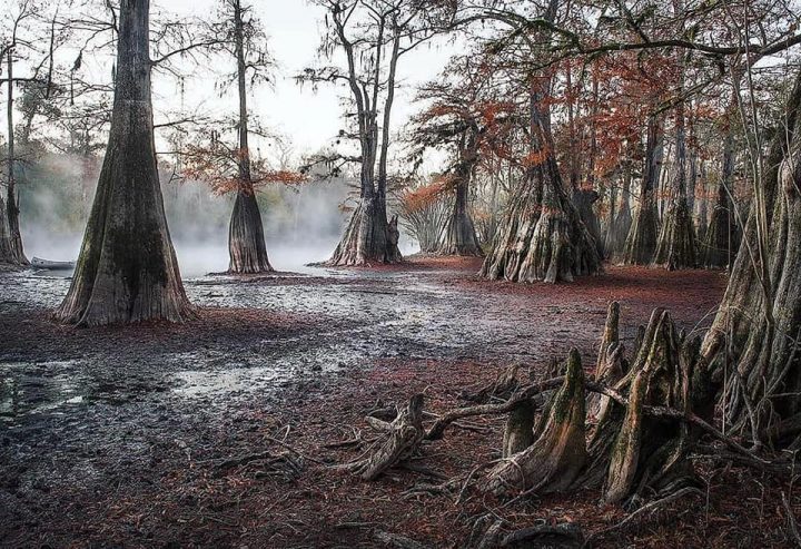 Jeff Klinkenberg - UF College of Journalism and Communications