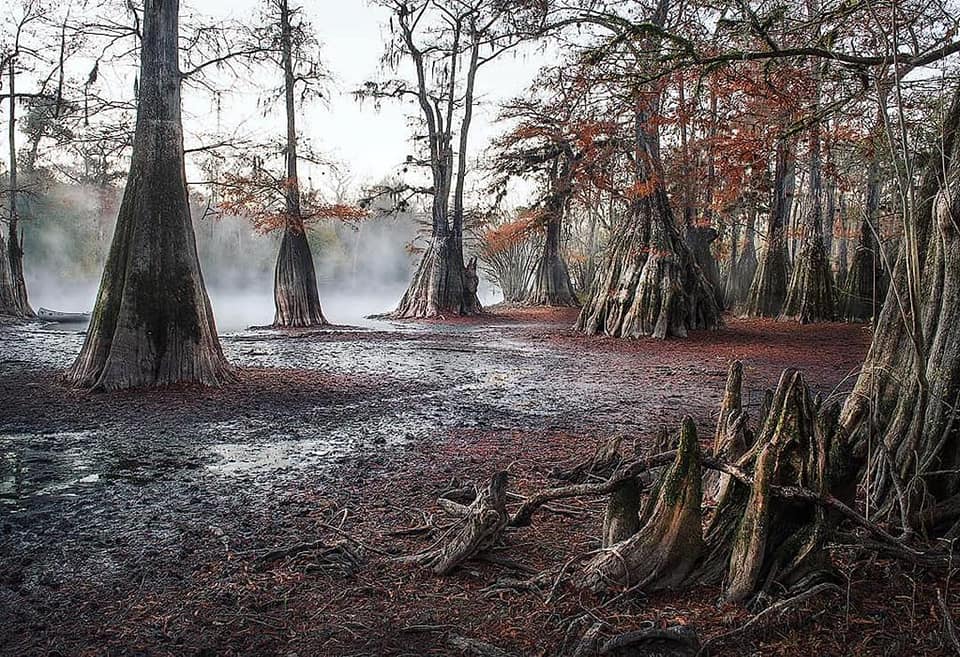 Jeff Klinkenberg - UF College of Journalism and Communications
