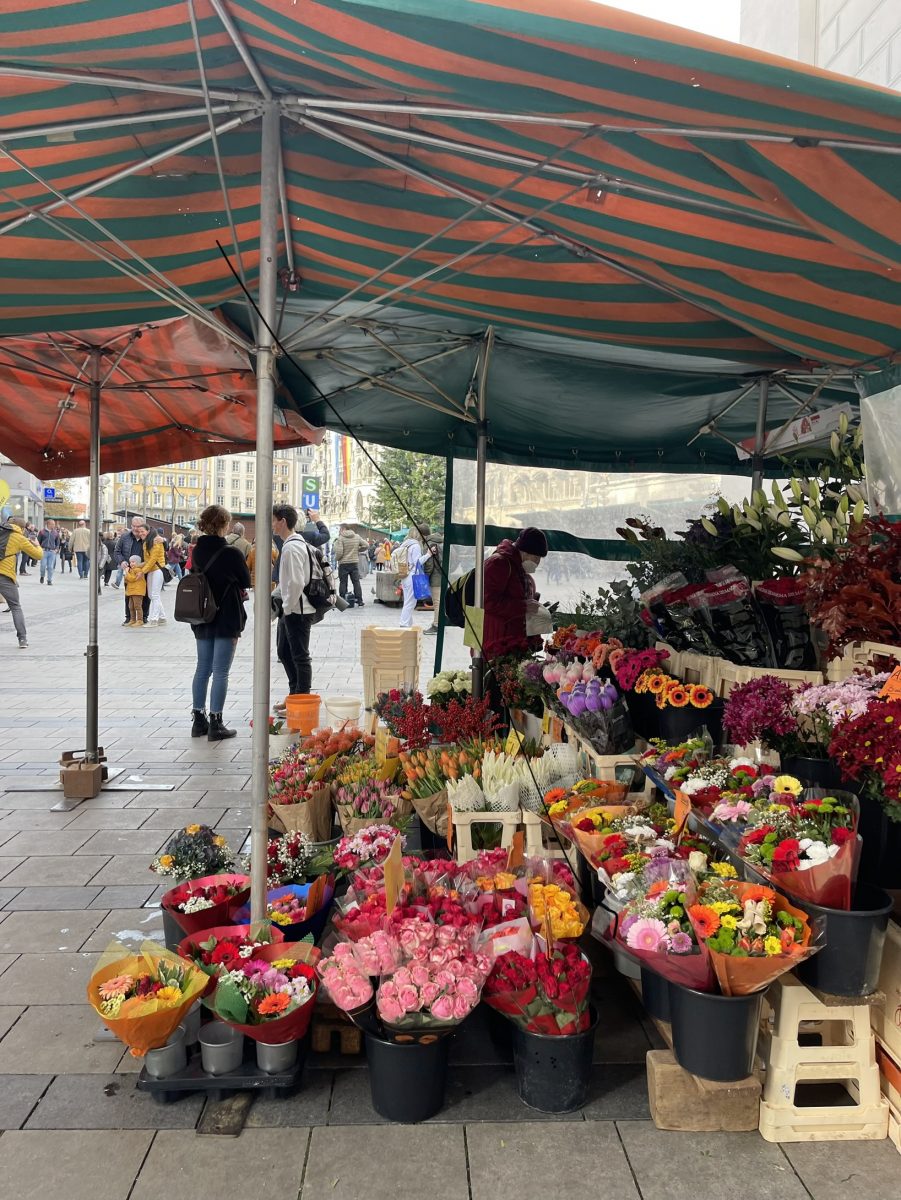 Haley Wald: Reflecting and Reminiscing - UF College of Journalism and ...