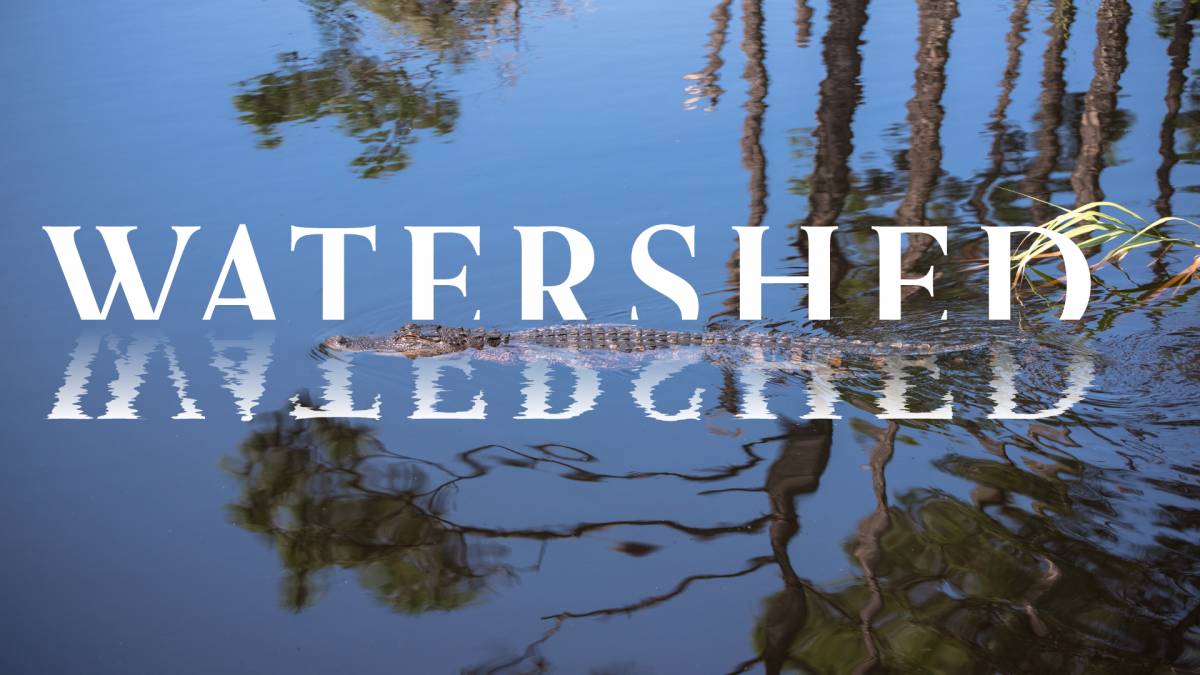 UFCJC Student Project WATERSHED is a Finalist in the 2023 Online ...